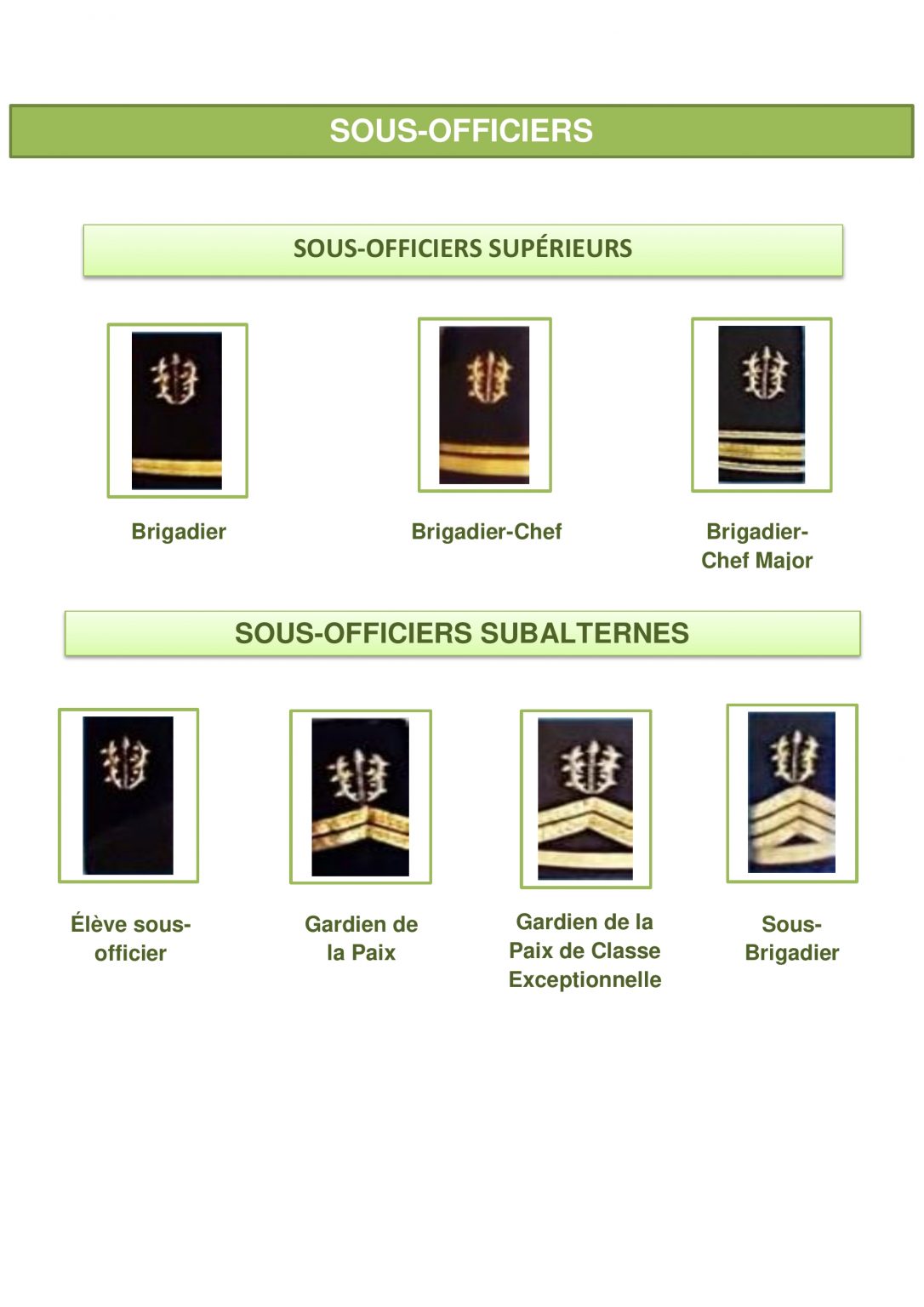 Organisation – Forces de Police Nationale